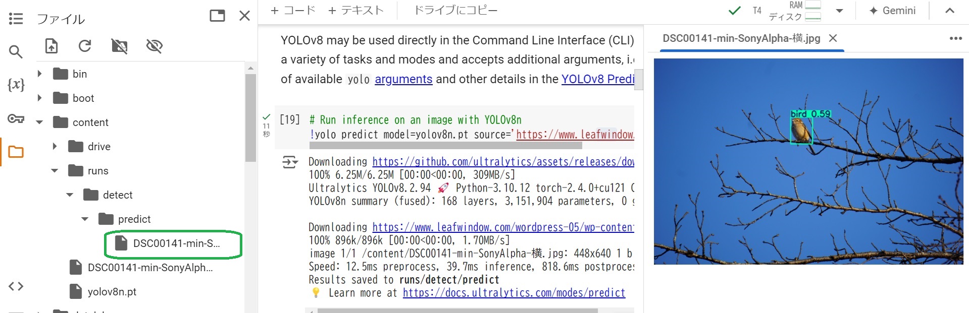 Google Colab での Ultralytics YOLO の使用 – LeafWindow