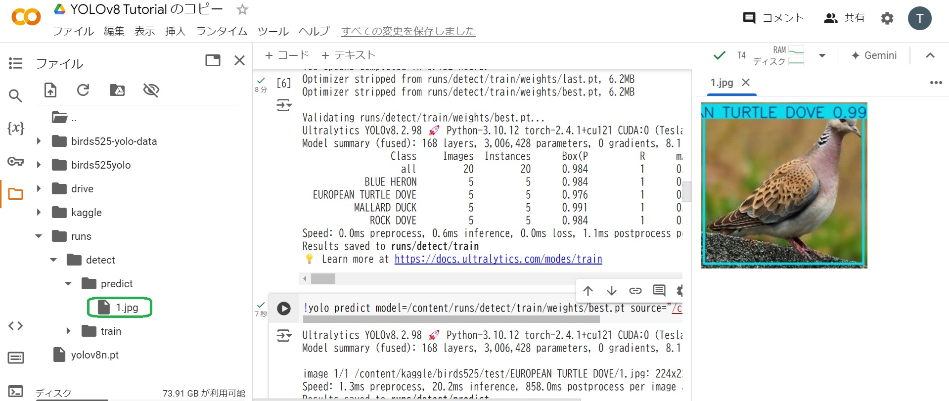 Train Ultralytics YOLOv8 Object Detection Network with converted BIRDS ...